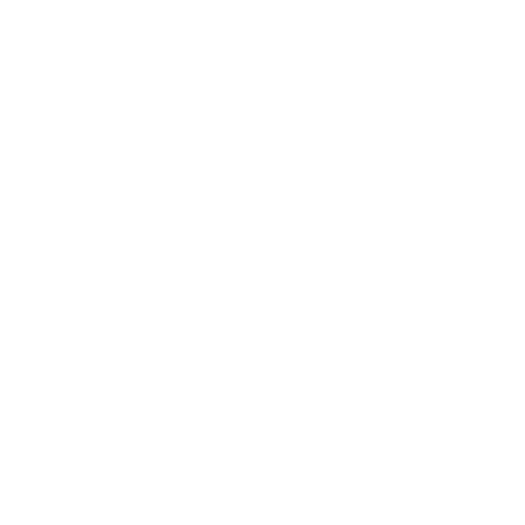 Lyra Trading & Holding Corporation